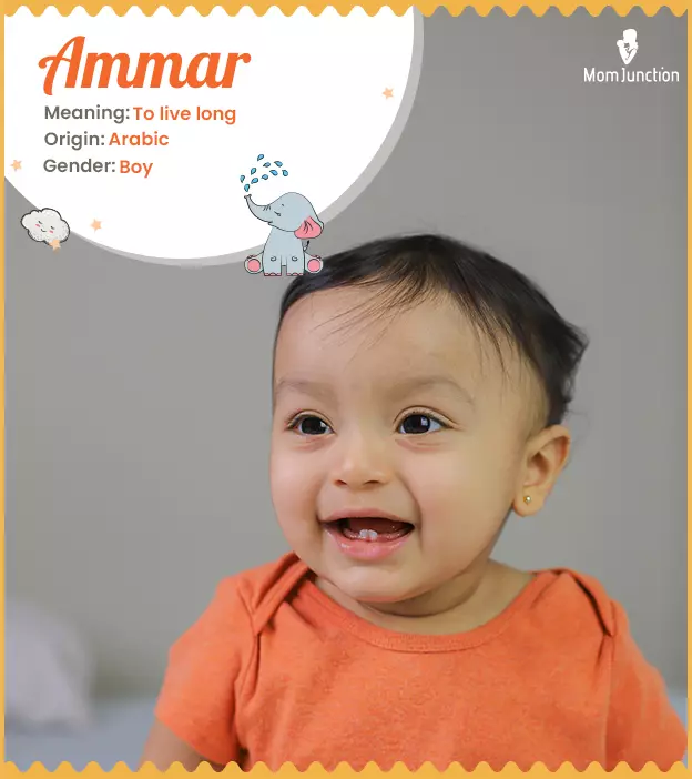Ammar Name Meaning, Origin, History, And Popularity