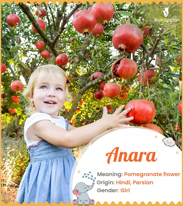 Anara Name, Meaning, Origin, History, And Popularity