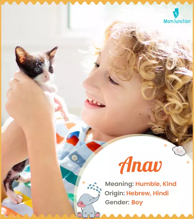 Anav Name Meaning, Origin, History, And Popularity