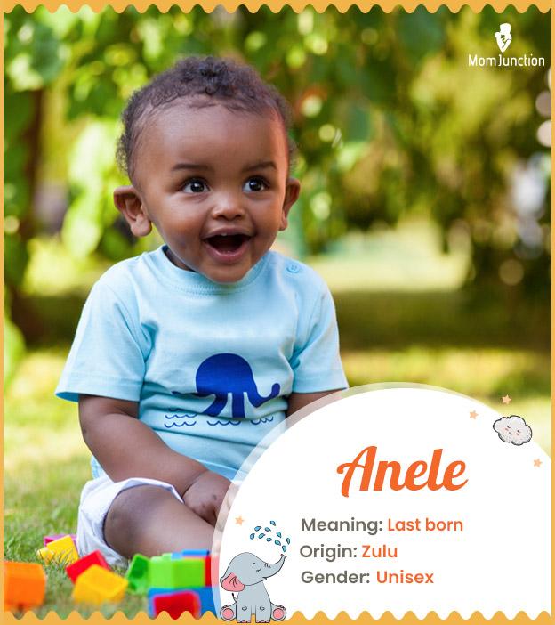Anele Baby Name: Meaning, Origin, Popularity
