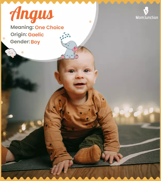 Angus Name Meaning, Origin, History, And Popularity