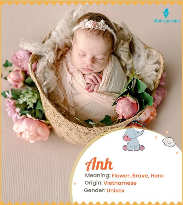 Lance Name, Meaning, Origin, History, And Popularity