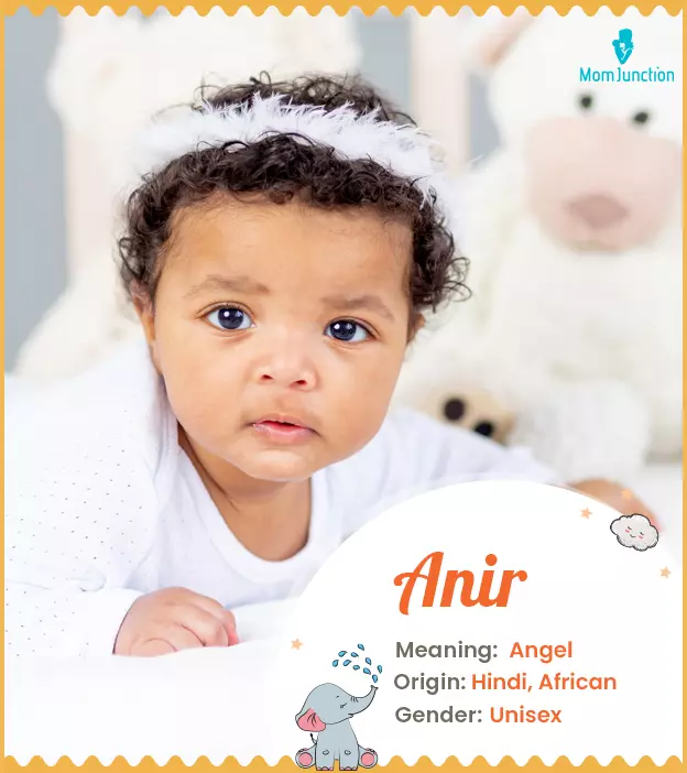 Anir Baby Name: Meaning, Origin, Popularity