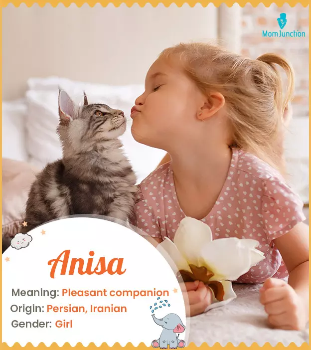 Anisa Name Meaning, Origin, History, And Popularity