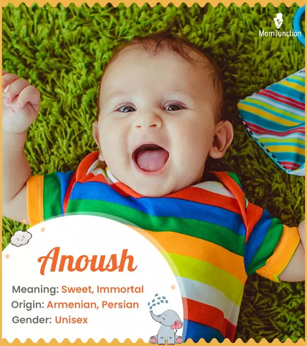Anoush Baby Name: Meaning, Origin, Popularity