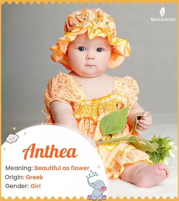 Anthea Name Meaning, Origin, History, And Popularity