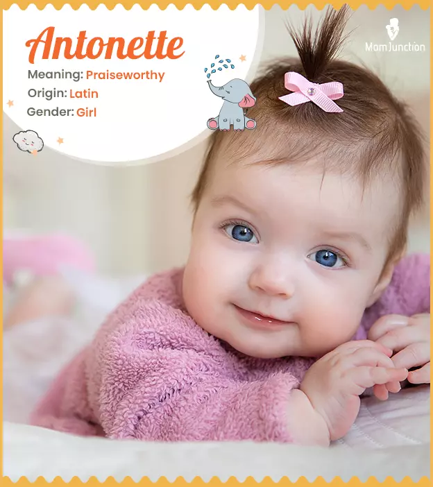 Antonette Name Meaning, Origin, History, And Popularity