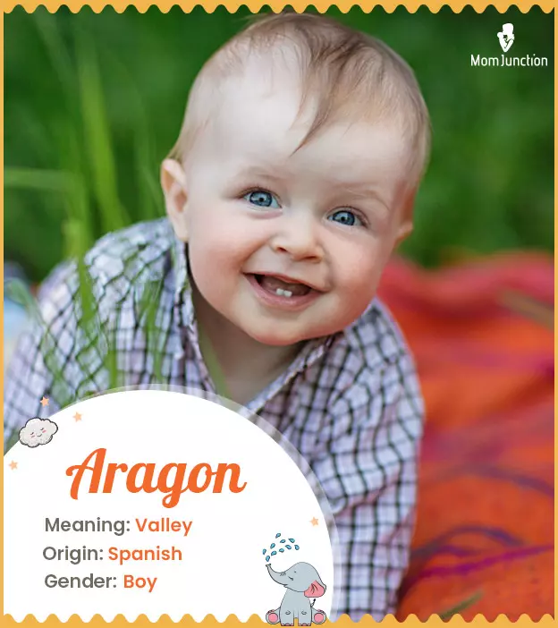 Aragon Baby Name: Origin, Meaning, History | Complete Guide