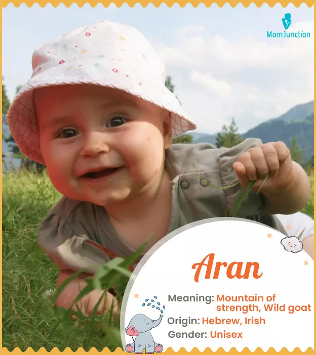 Aran Name, Meaning, Origin, History, And Popularity
