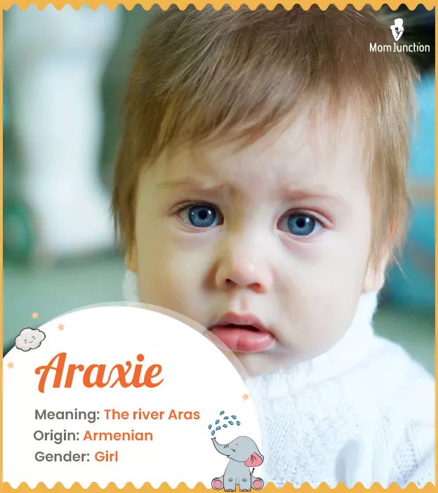 Araxie Baby Name: Meaning, Origin, Popularity