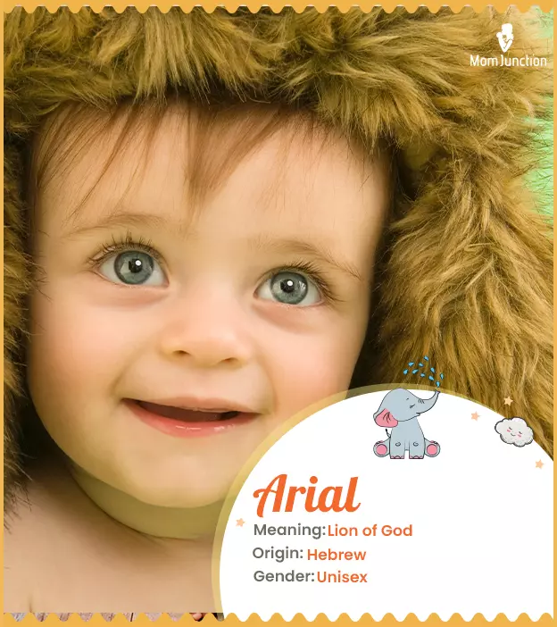 Arial Baby Name: Meaning, Origin, Popularity