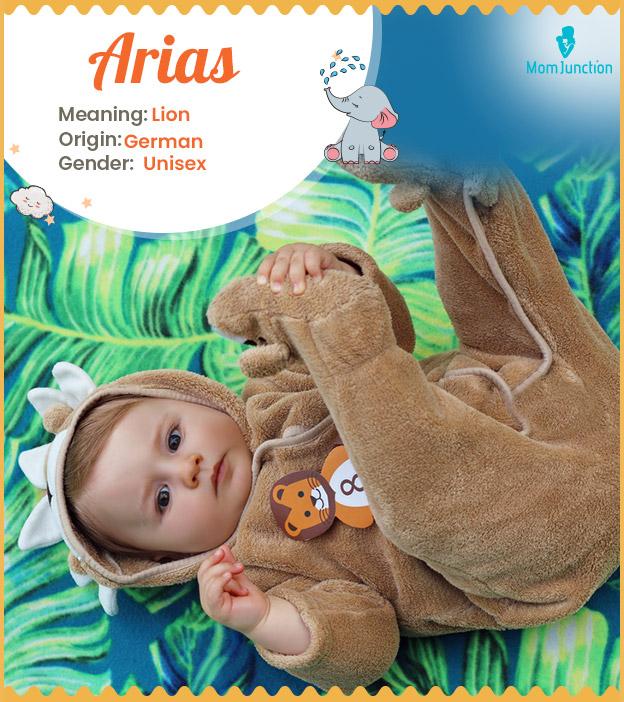 Arias Baby Name: Meaning, Origin, Popularity