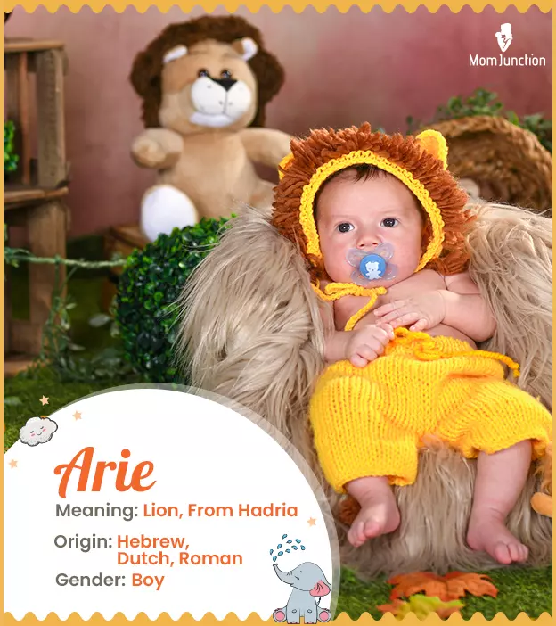 Arie Name Meaning, Origin, History, And Popularity