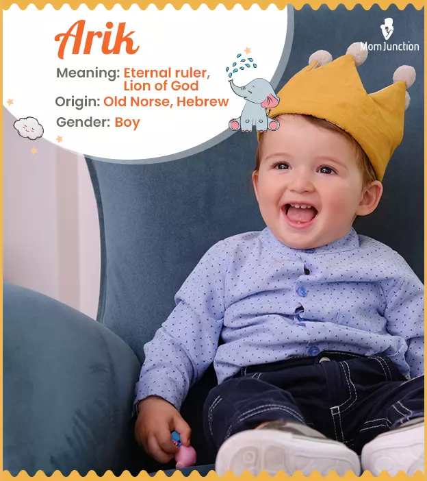 Arik Name Meaning, Origin, History, And Popularity