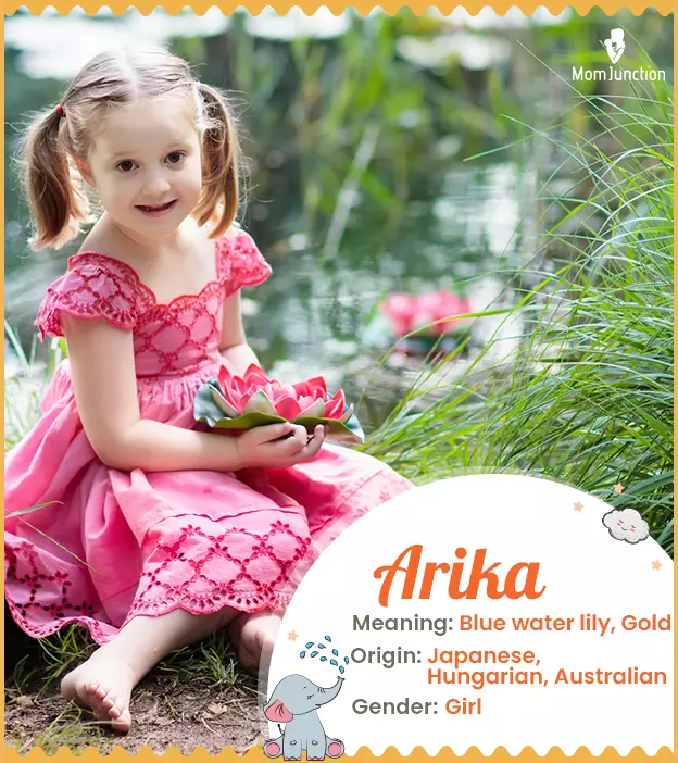 Arika Name Meaning, Origin, History, And Popularity