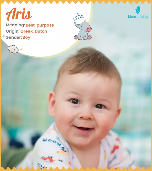 Aris Name Meaning, Origin, History, And Popularity