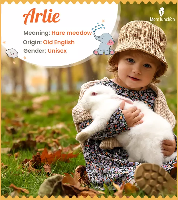 Arlie Baby Name: Meaning, History & Popularity in 2025