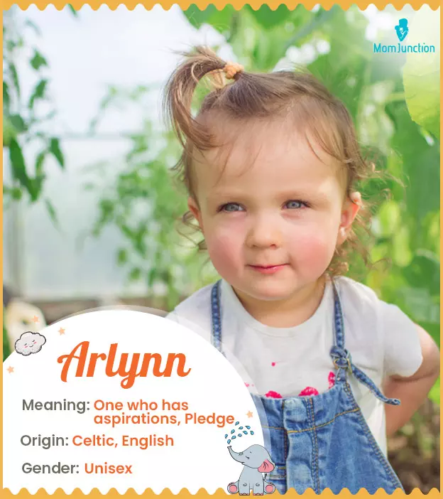 Arlynn Baby Name: Meaning, Origin, Popularity