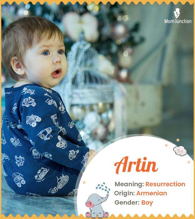 Artin Baby Name: Meaning, Origin, Popularity