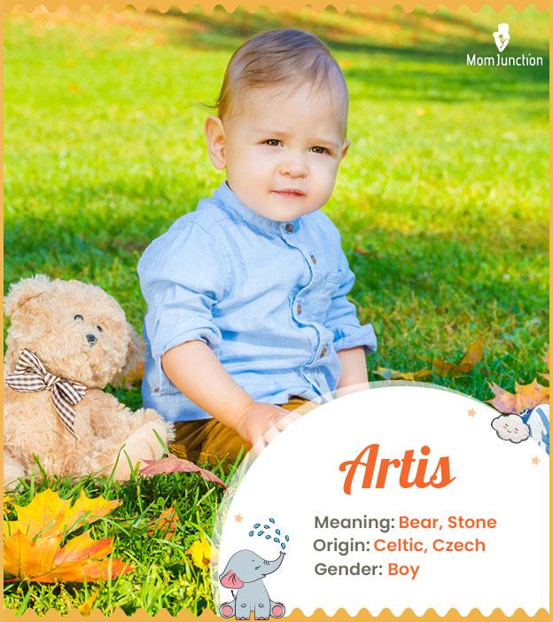 Artis Baby Name: Meaning, Origin, Popularity