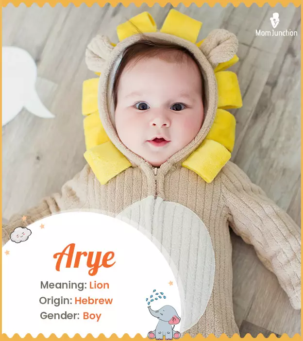 Arye Name Meaning, Origin, History, And Popularity