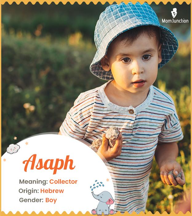 Cynthia Name Meaning, Origin, History, And Popularity