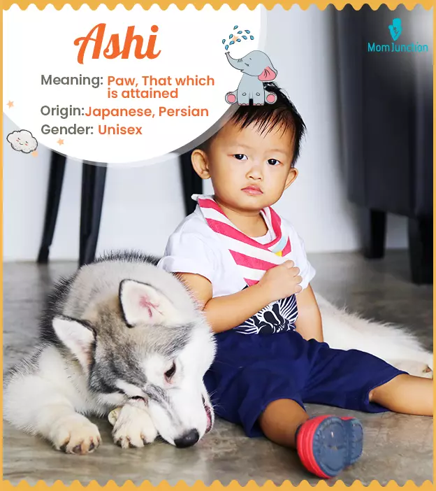 Ashi Name Meaning, Origin, History, And Popularity