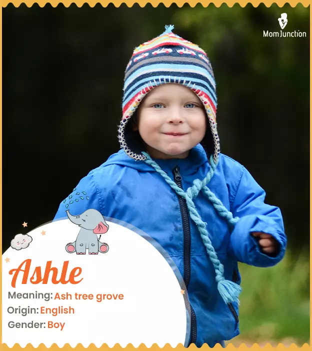 Ashle Meaning, Origin, History, And Popularity