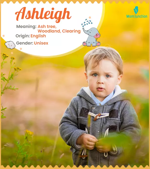 Ashleigh Name Meaning, Origin, History, And Popularity