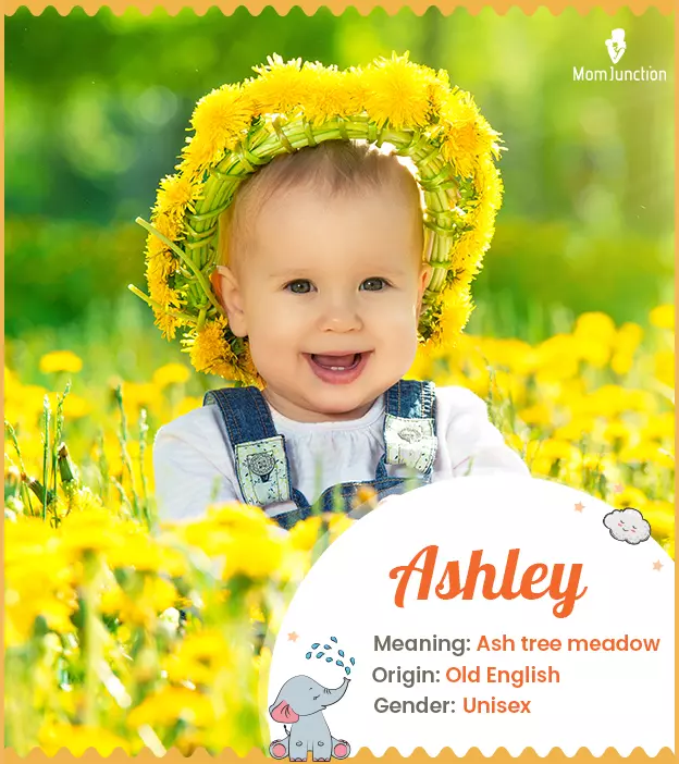 Ashley Name Meaning, Origin, History, and Popularity