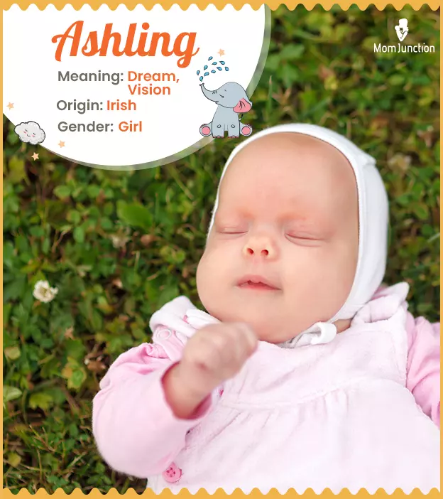 Ashling Name Meaning, Origin, History, And Popularity