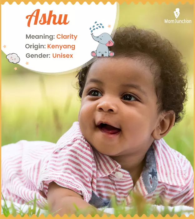 Ashu Baby Name: Meaning, Origin, Popularity