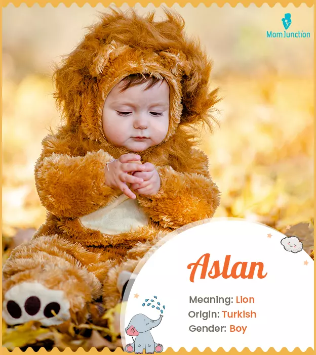 Aslan Name, Meaning, Origin, History, And Popularity