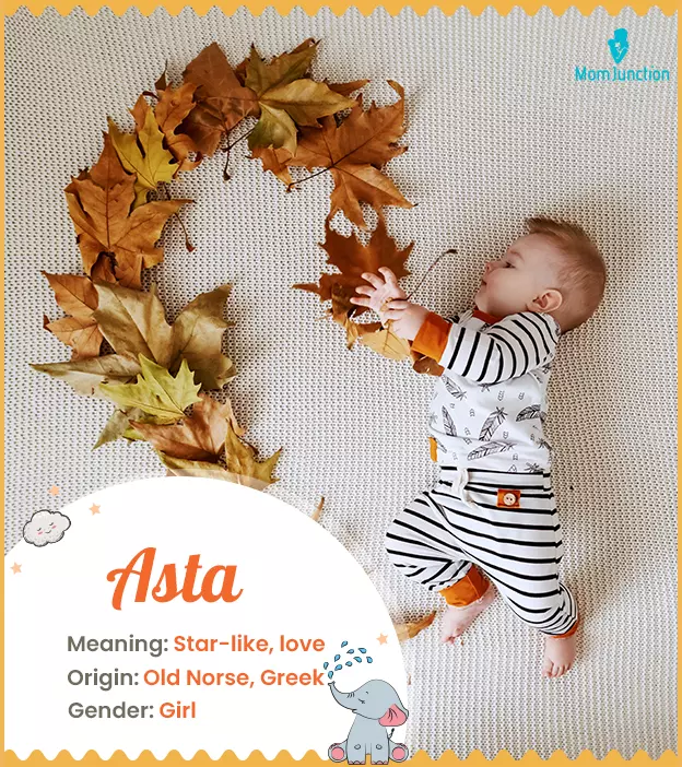Asta Name, Meaning, Origin, History, And Popularity