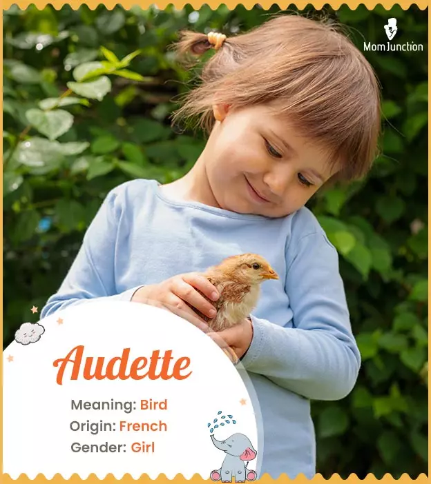 Audette Name Meaning & History: Complete Pronunciation Guide Baby Name ...