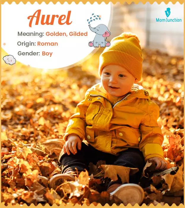 Aurel Name Meaning, Origin, History, And Popularity