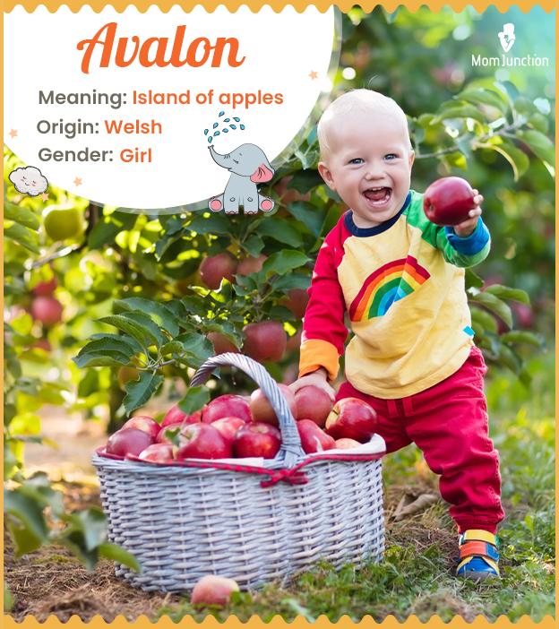 Explore Eya: Meaning, Origin & Popularity