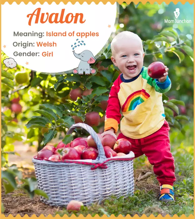 Avalon Name Meaning, Origin, History, And Popularity