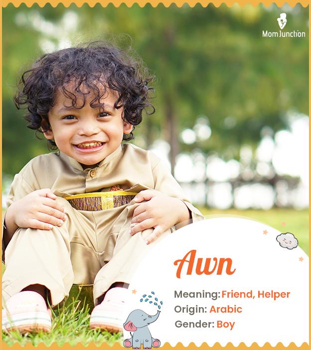 Awn Name Meaning, Origin, History, And Popularity