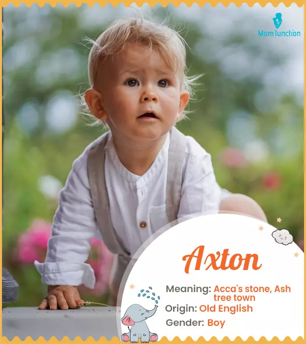 Axton Baby Name: Meaning, Origin, Popularity