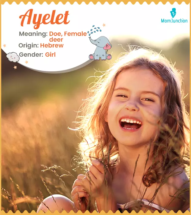 Ayelet Name Meaning, Origin, History, And Popularity