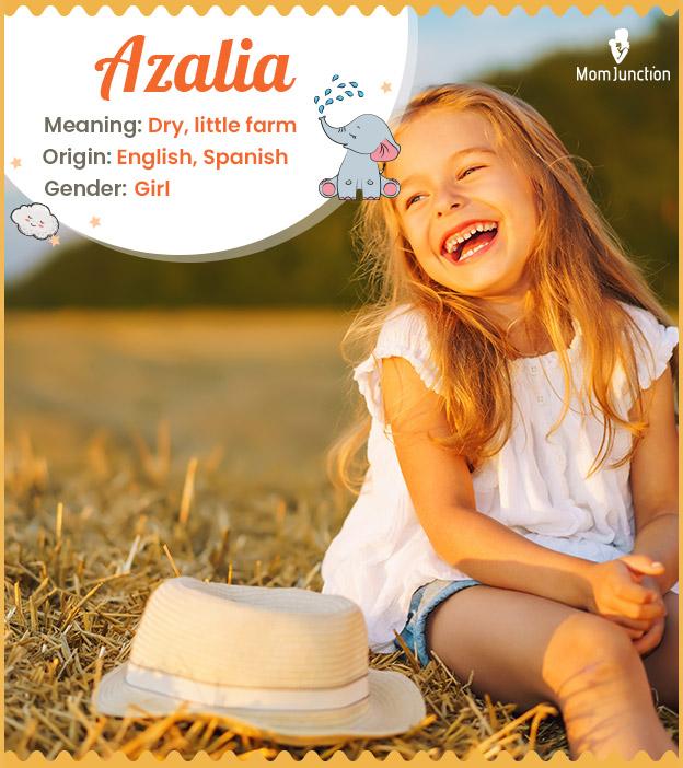 Azalia Name Meaning, Origin, History, And Popularity