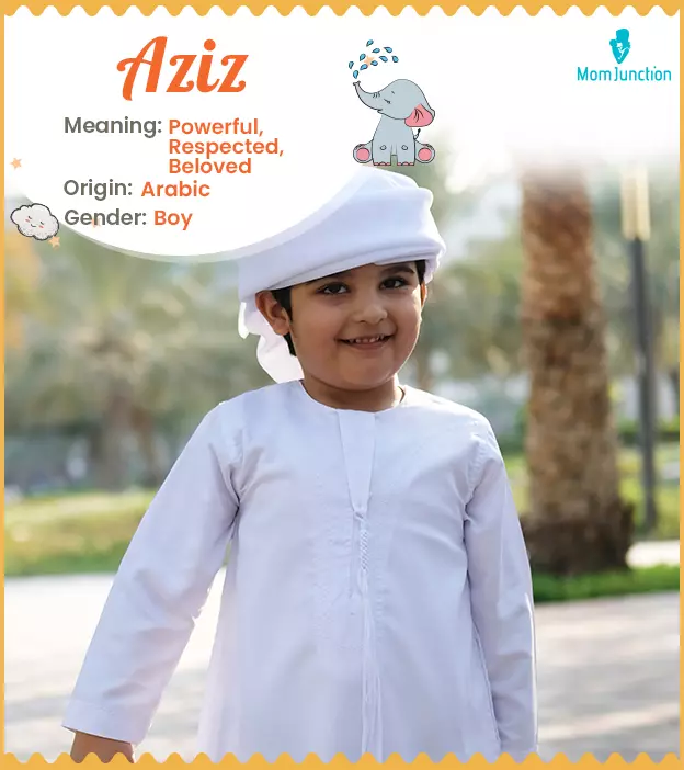 Aziz Name Meaning, Origin, Popularity: A Comprehensive Guide