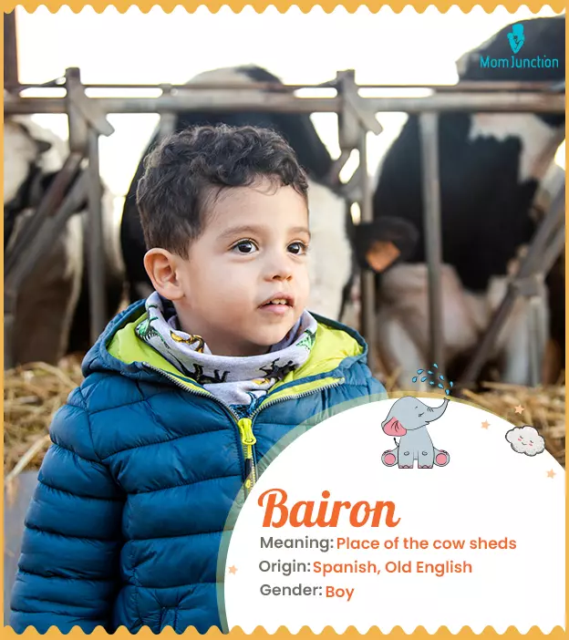 Origin, Meaning & Other Facts About Baby Name Bairon