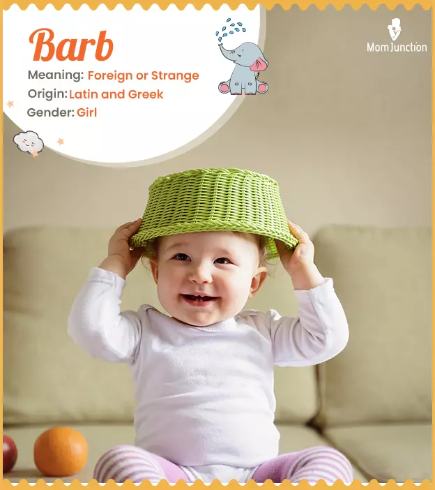 Barb Name Meaning, Origin, History, And Popularity