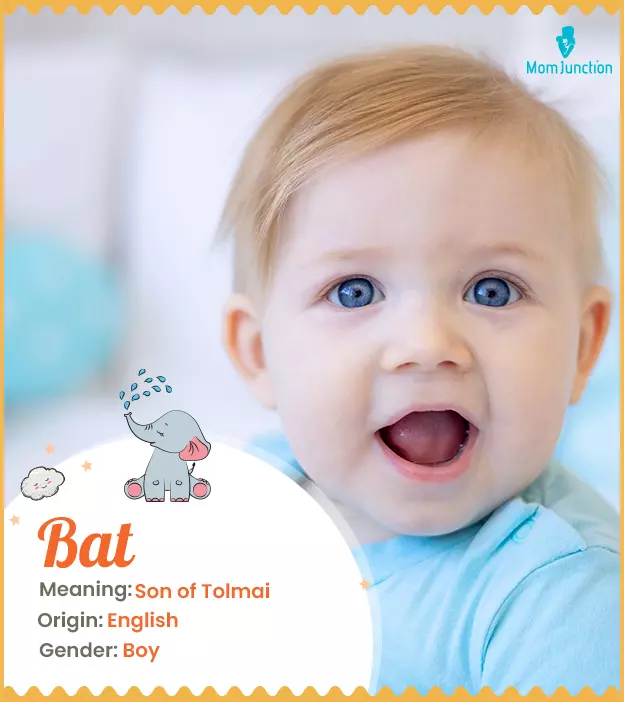 Bat Name, Meaning, Origin, History, And Popularity
