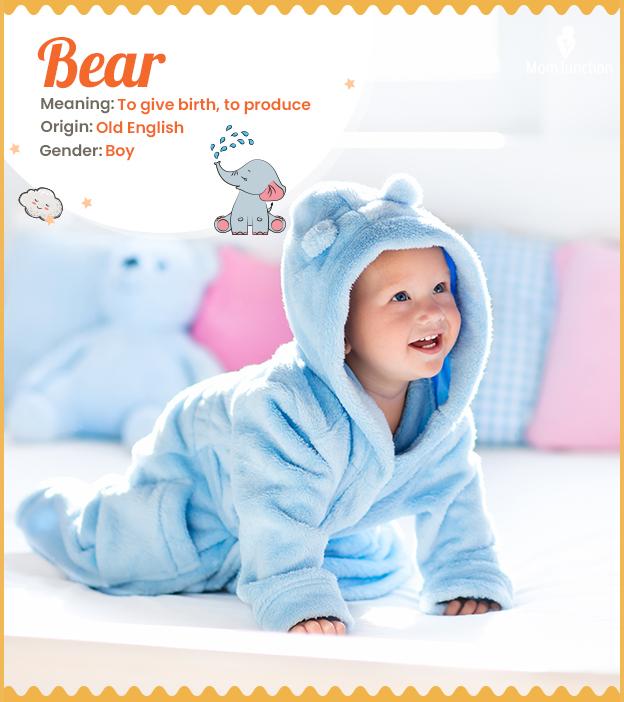 Bear Name Meaning, Origin, History, And Popularity