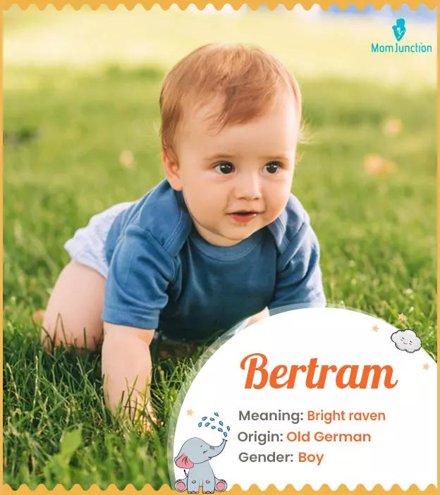Origin, Meaning & Other Facts About Baby Name Bertram