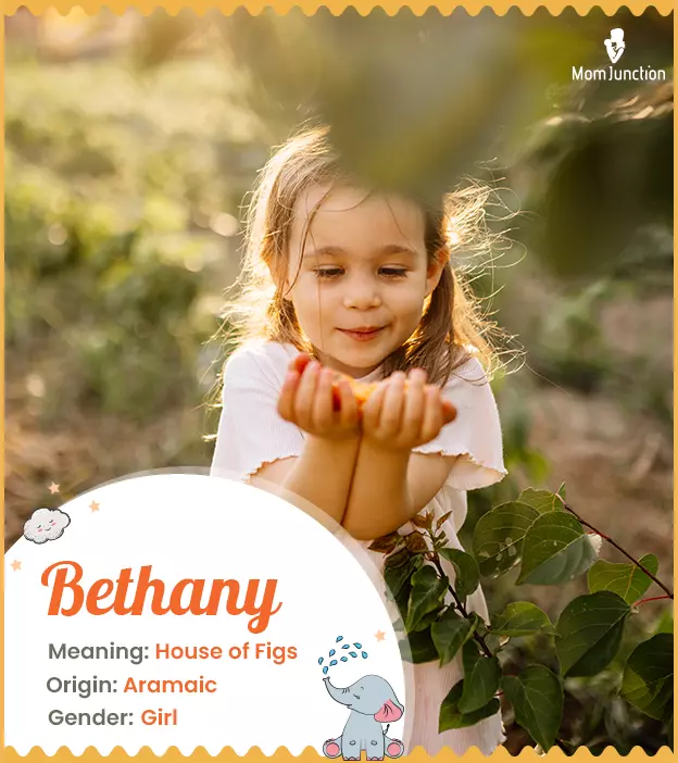 Bethany Name Meaning, Origin, History, And Popularity