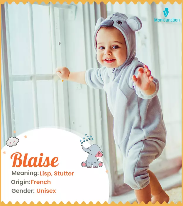 Blaise Name, Meaning, Origin, History, And Popularity